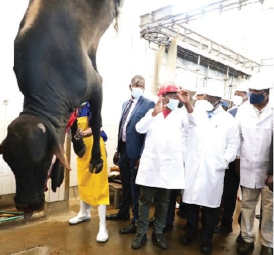 No christmas cheer for CSC as Boustead Beef finds another lame excuse ...
